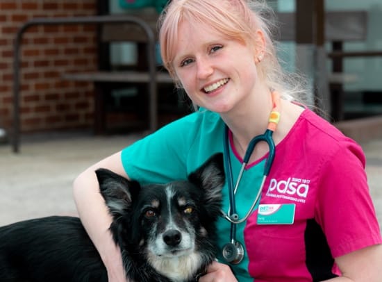 PDSA Insure Hub